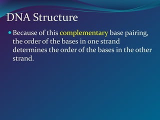 DNA-Structure PPT.ppt................... | PPT