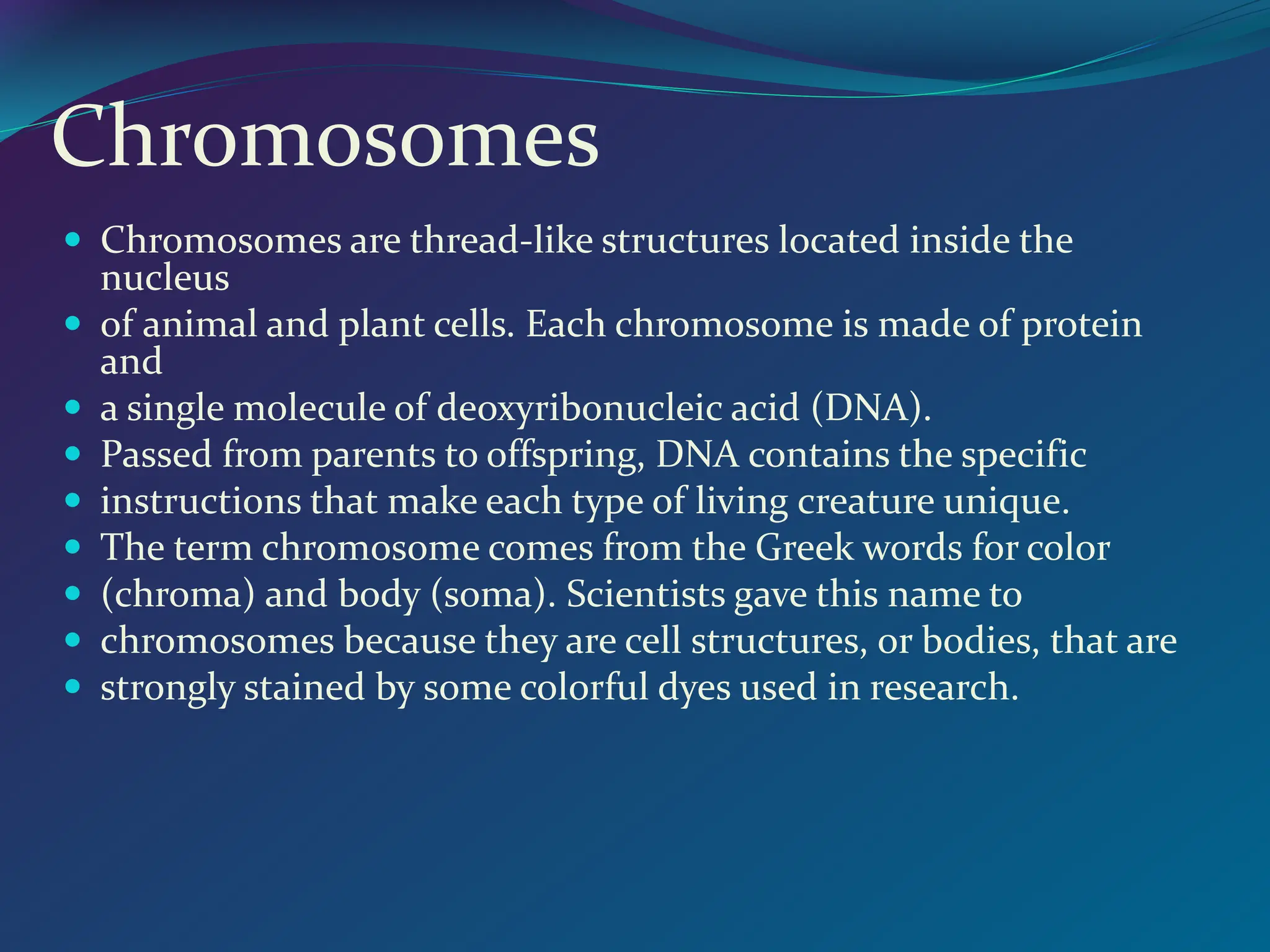 DNA structure and its basic functions .ppt