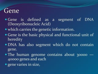 DNA structure and its basic functions .ppt