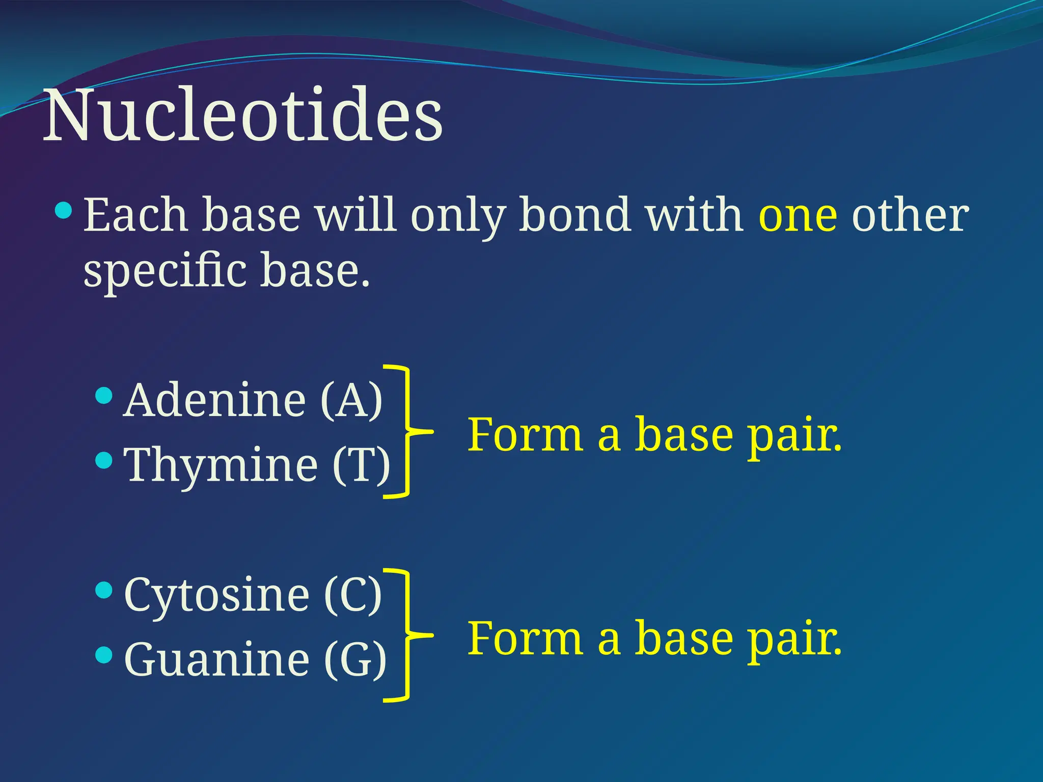 Deoxyribonuclease Structure PowerPoint.ppt | Chemistry | Science