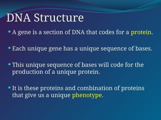Deoxyribonuclease Structure PowerPoint.ppt | Chemistry | Science