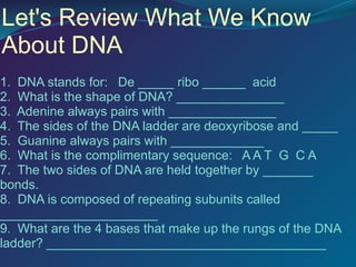 Deoxyribonuclease Structure PowerPoint.ppt