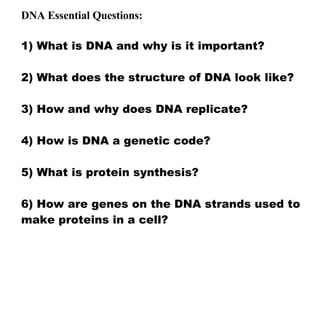 DNA Study Guide | PPT