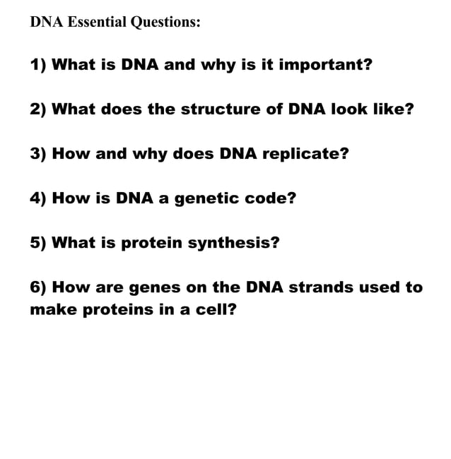 DNA Study Guide | PPT