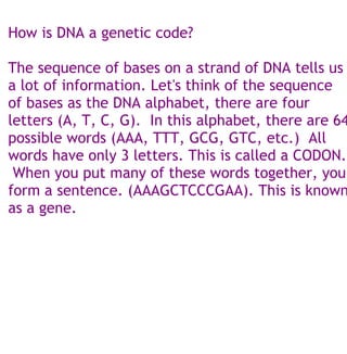 DNA Study Guide | PPT