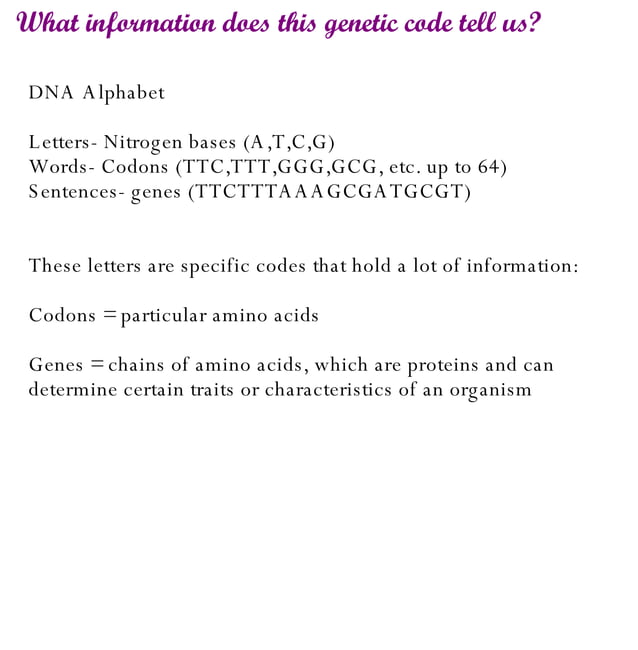 DNA Study Guide | PPT