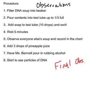 DNA Study Guide | PPT