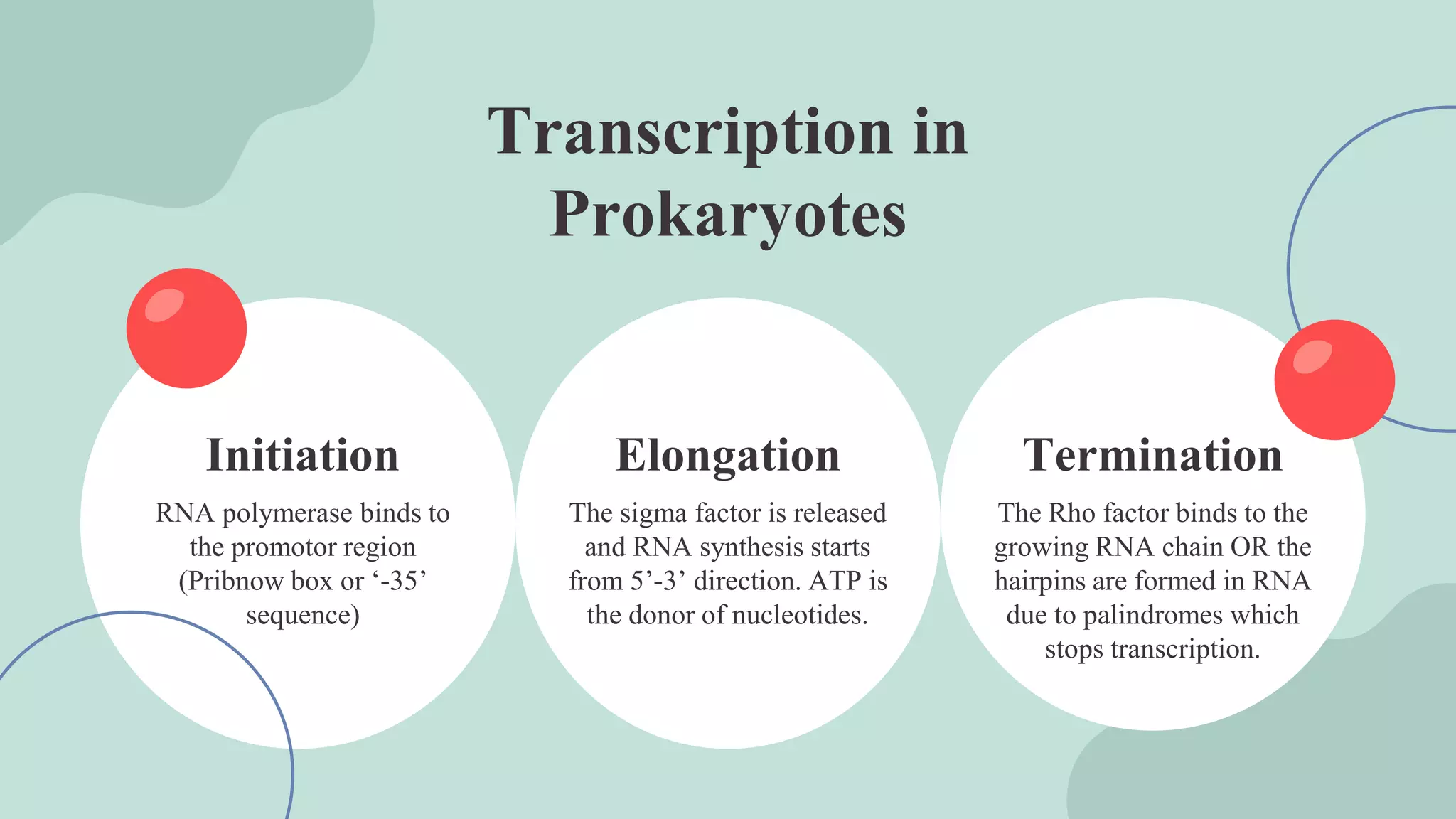 DNA- Transcription and Tranlation, RNA, Ribosomes and membrane proteins ...