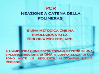 Dna Virtual | PPT
