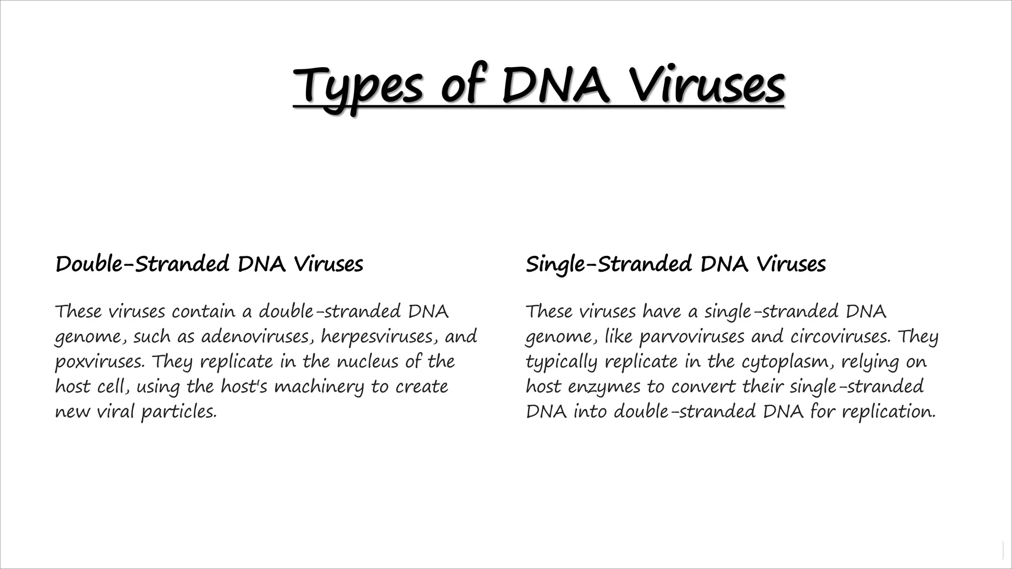 DNA-Viruses-A-Comprehensive-Overview (2).pdf