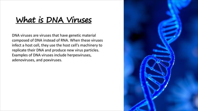 DNA-Viruses-A-Comprehensive-Overview (2).pdf