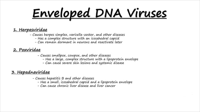 DNA-Viruses-A-Comprehensive-Overview (2).pdf
