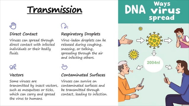 DNA-Viruses-A-Comprehensive-Overview (2).pdf