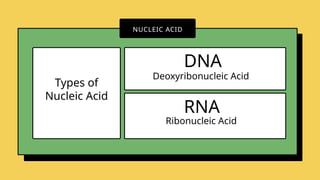 DNA-VS.-RNA.pptxxxxxxxxxxxxxxxxxxxxxxxxxxxx | PPTX