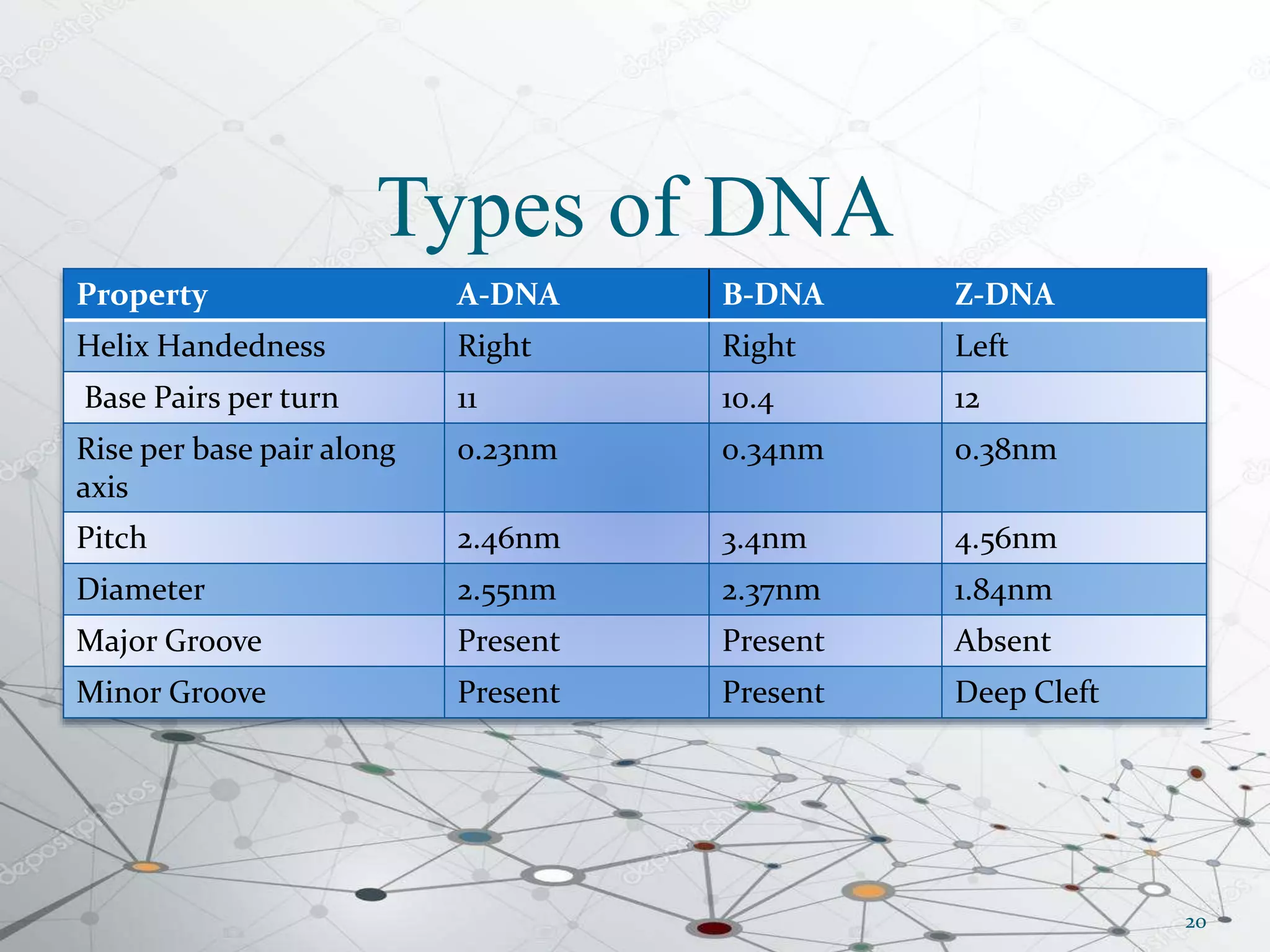 DNA structure and types | PPTX
