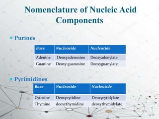 DNA structure and types | PPTX