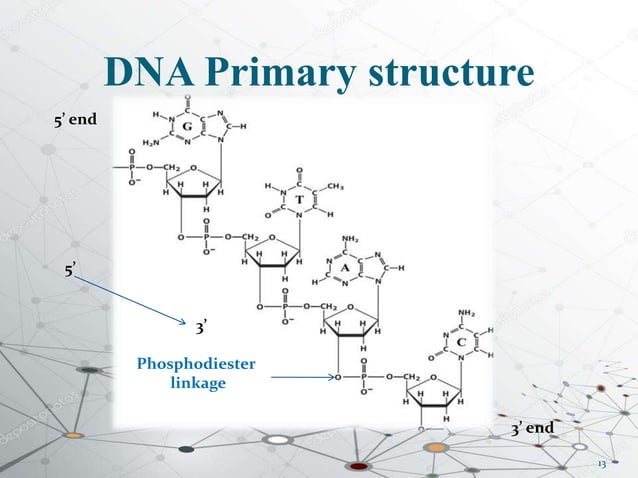 DNA structure and types | PPTX | Chemistry | Science
