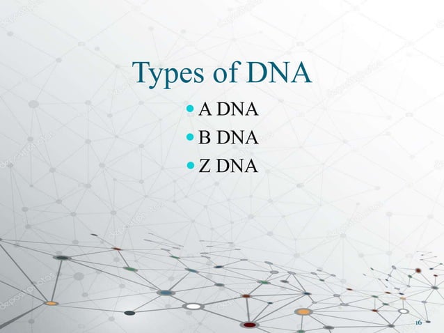 DNA structure and types | PPTX | Chemistry | Science
