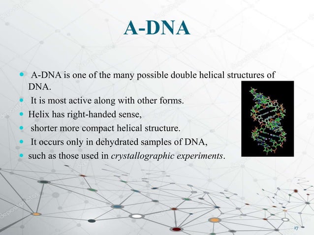 DNA structure and types | PPTX | Chemistry | Science