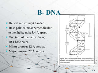 DNA structure and types | PPTX