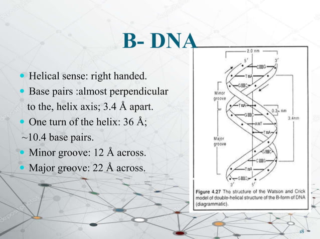 DNA structure and types | PPTX | Chemistry | Science