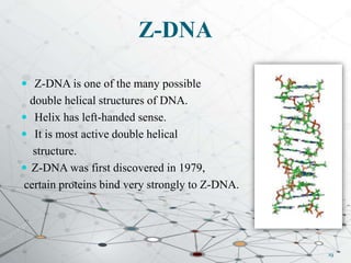 DNA structure and types | PPTX