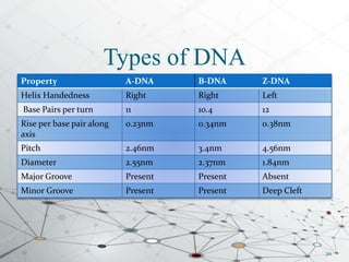 DNA structure and types | PPTX