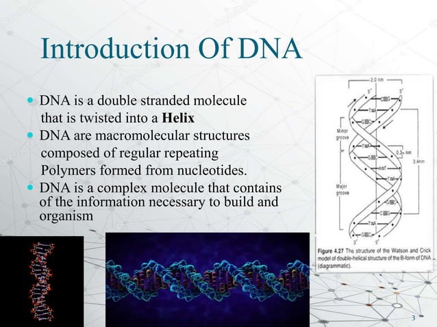 DNA structure and types | PPTX | Chemistry | Science
