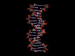 DNA structure and types | PPTX