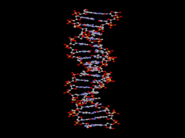 DNA structure and types | PPTX | Chemistry | Science