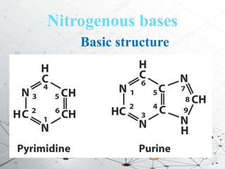 DNA structure and types | PPTX