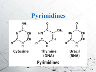 DNA structure and types | PPTX