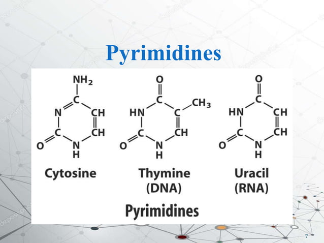 DNA structure and types | PPTX | Chemistry | Science