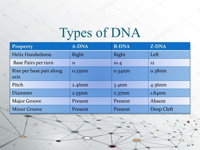 DNA structure and types