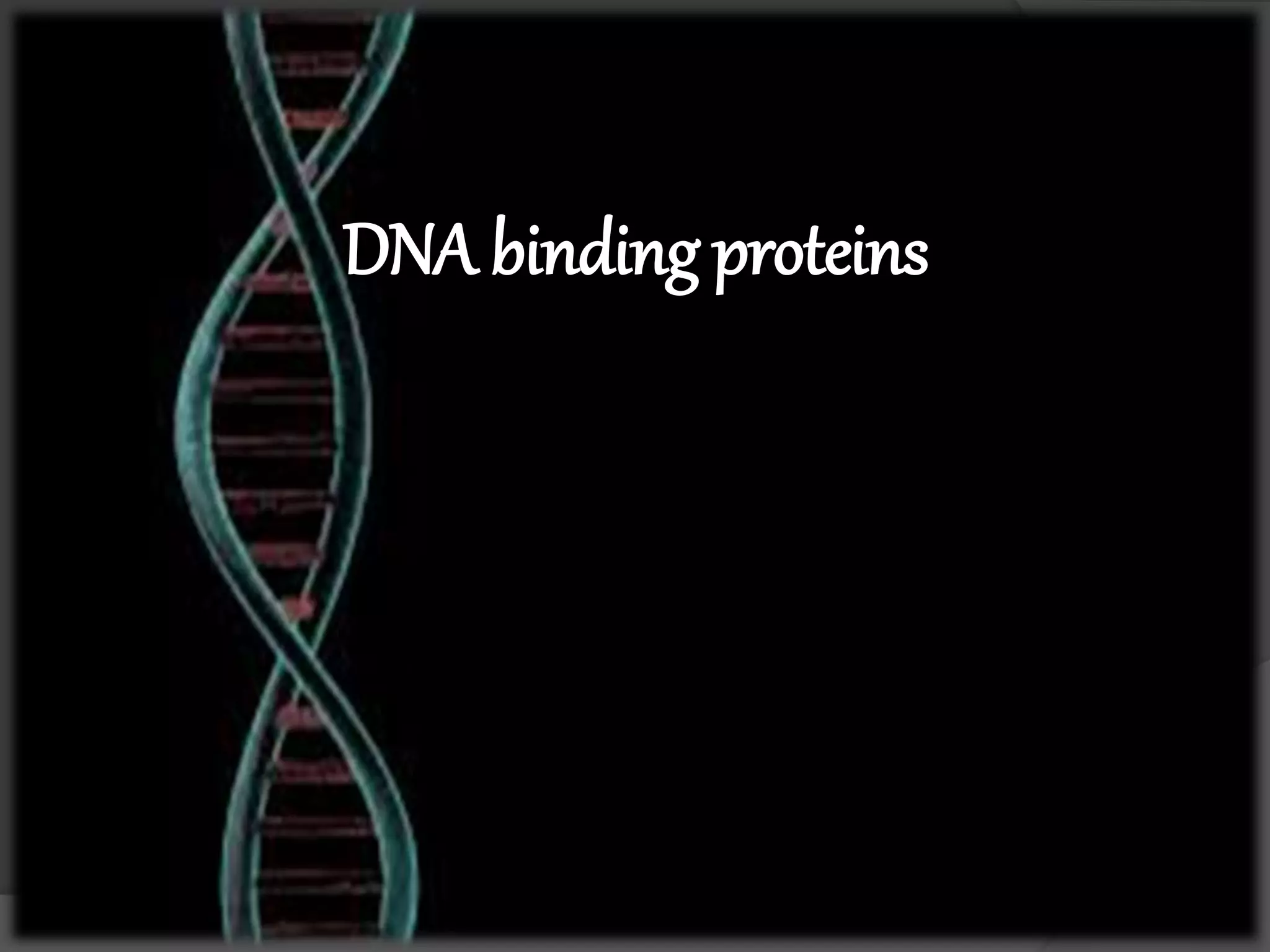 DNA Binding Proteins.pptx