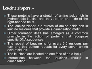 DNA Binding Proteins.pptx