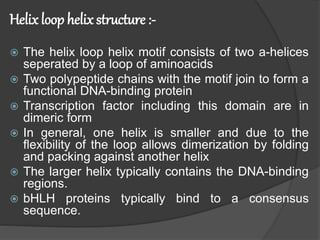 DNA Binding Proteins.pptx