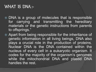 DNA Binding Proteins.pptx