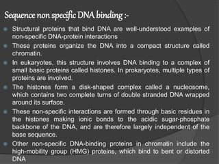 DNA Binding Proteins.pptx