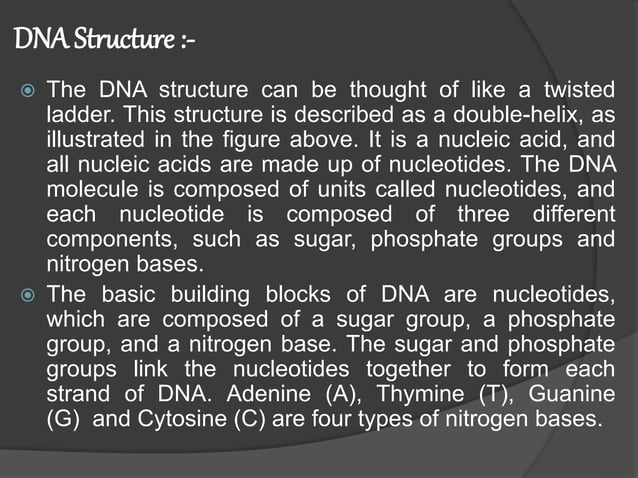 DNA Binding Proteins.pptx