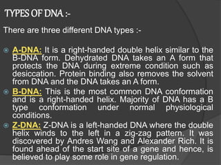 DNA Binding Proteins.pptx
