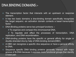 DNA Binding Proteins.pptx