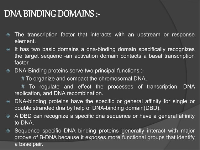 DNA Binding Proteins.pptx