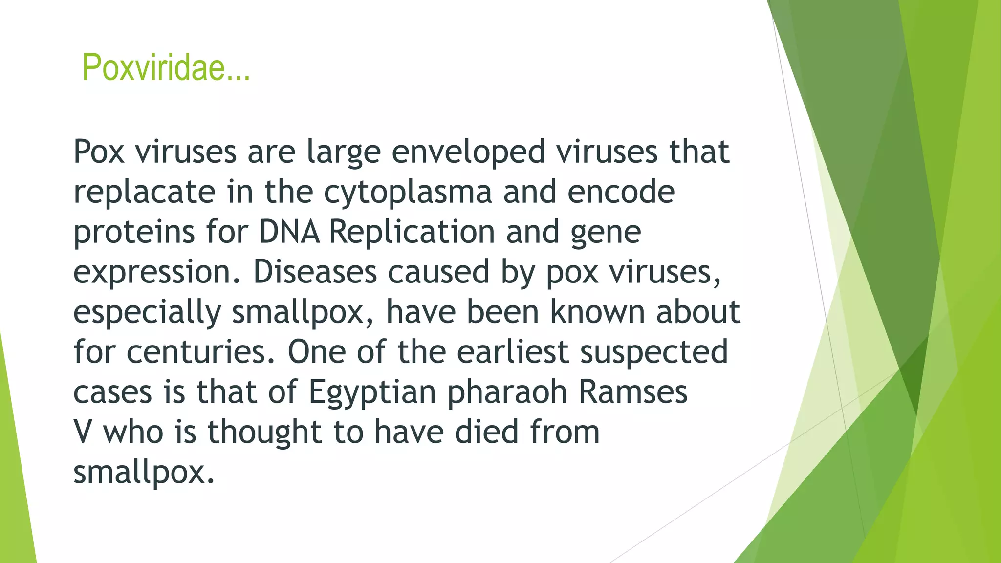 DNA VIRUS.pptx