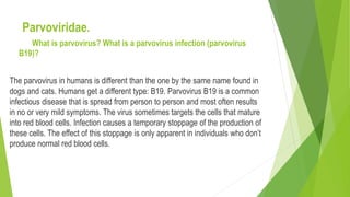 DNA VIRUS.pptx