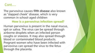 DNA VIRUS.pptx