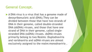 DNA VIRUS.pptx