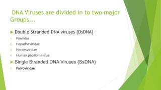 DNA VIRUS.pptx