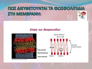 ΑΠΟΜΟΝΩΣΗ DNA-ΠΩΣ ΚΑΙ ΓΙΑΤΙ | PPTX