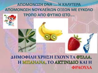 ΑΠΟΜΟΝΩΣΗ DNA-ΠΩΣ ΚΑΙ ΓΙΑΤΙ | PPTX